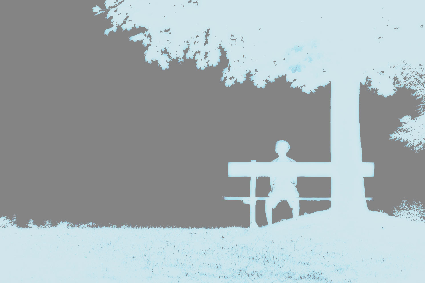 Revival – Wiltshire RASAC